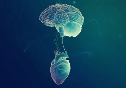 Leadership Articles - Strixus